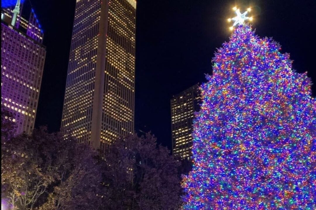 Unveiling the Magnificent Chicago Christmas Tree: A Must-See Holiday ...