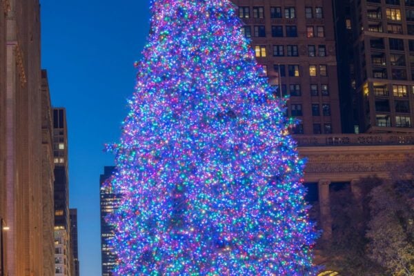 Chicago Christmas Tree 2025: Guide to Millennium Park Tree - Little ...