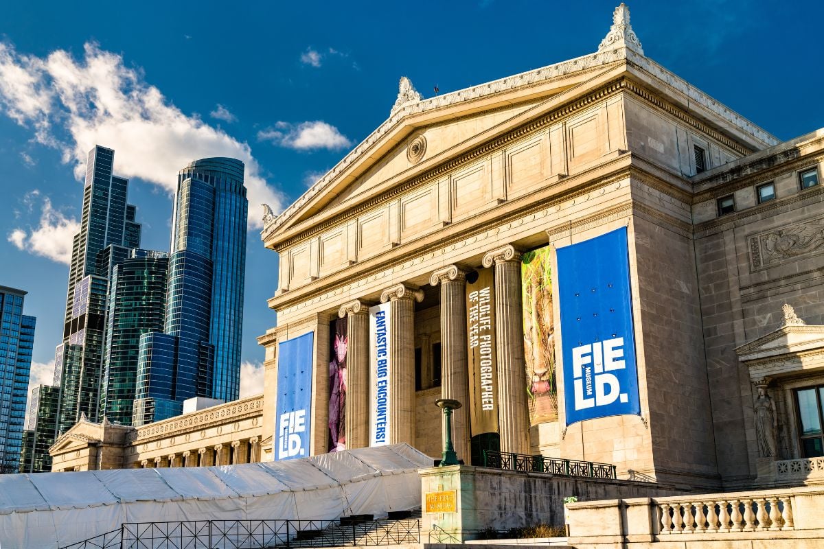 25 Best Chicago Museums (2026 Local's Guide) | Prices, Hours & Free ...