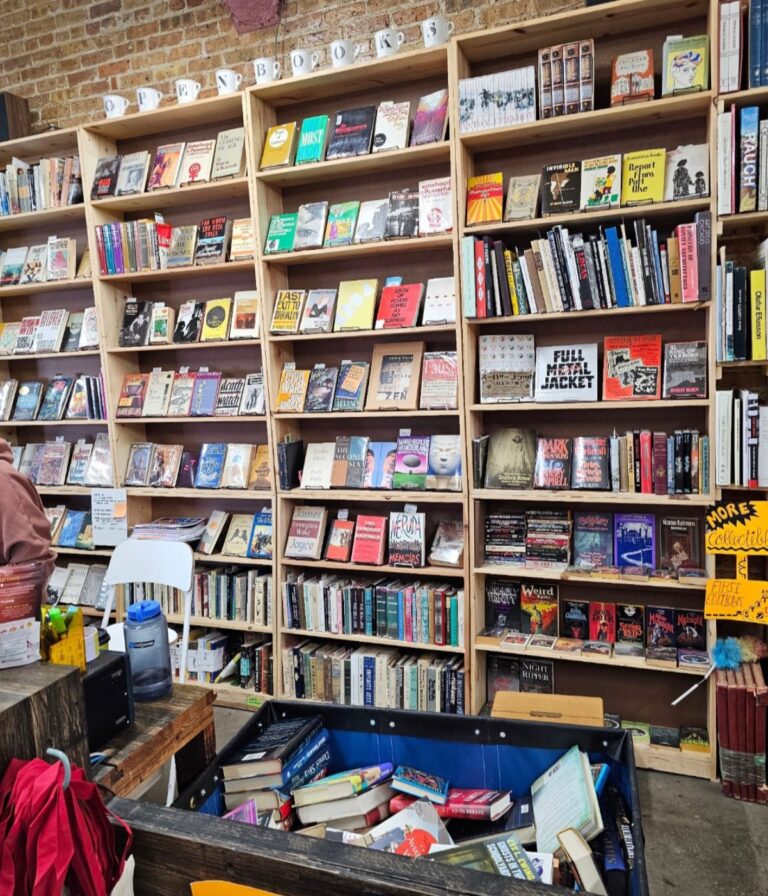 15 Best Bookstores in Chicago: A Local's Guide - Little Chicago Guide