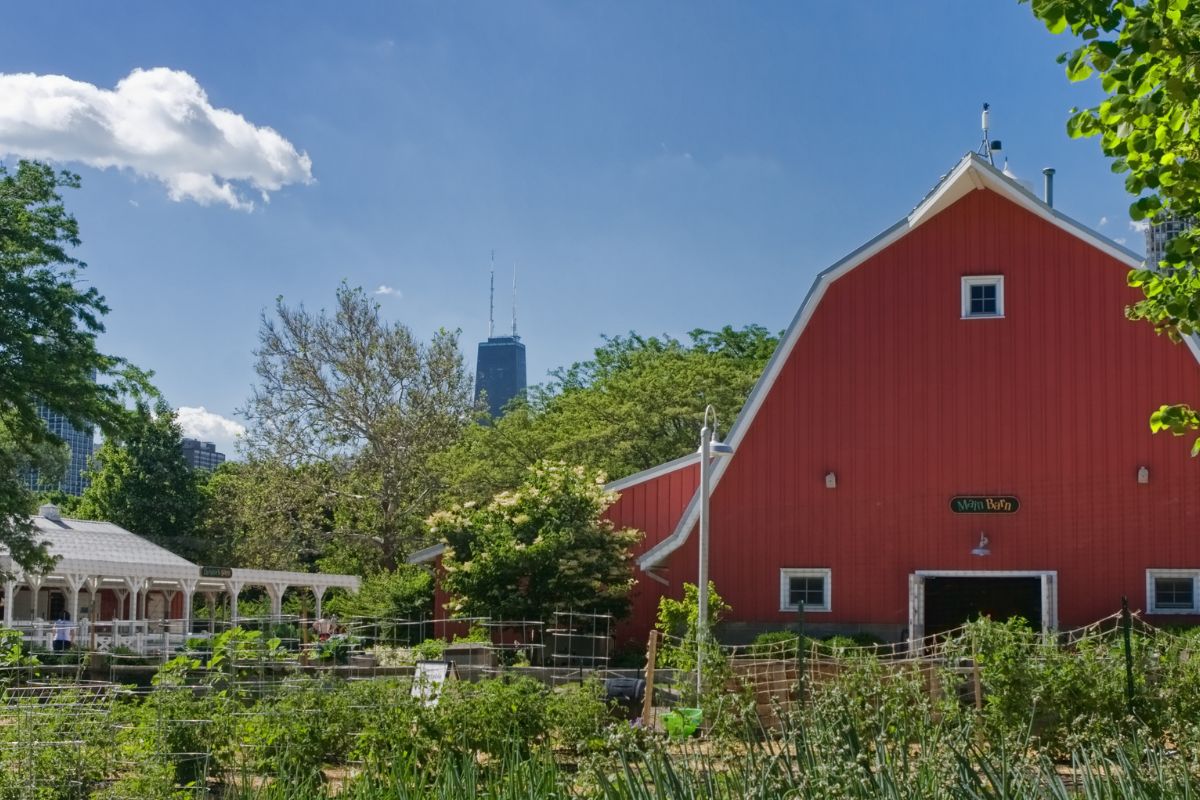 Lakeview Chicago Guide: Top Attractions, Dining & Neighborhood ...