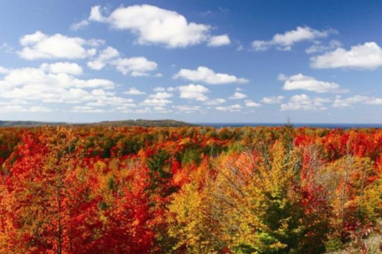 10 Best Fall Road Trips from Chicago (2025 Guide) | MyMichiganBeach ...