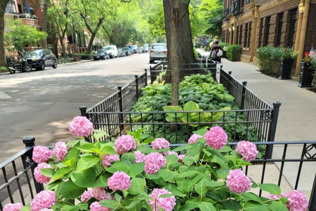 Moving to Chicago? 25 Things You NEED to Know First (2026) - Little ...