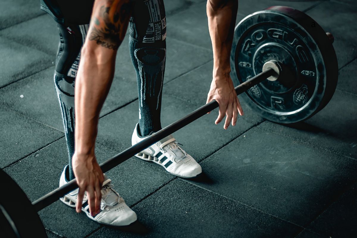 Best Gyms in Chicago 2026: Luxury to Budget Options - Little Chicago Guide