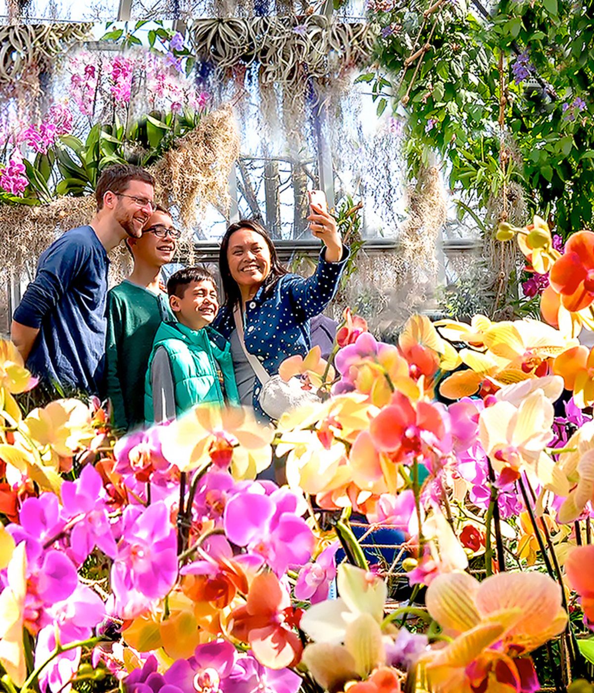 15 Best Things to Do on Valentine's Day in Chicago 2026 | Dates ...